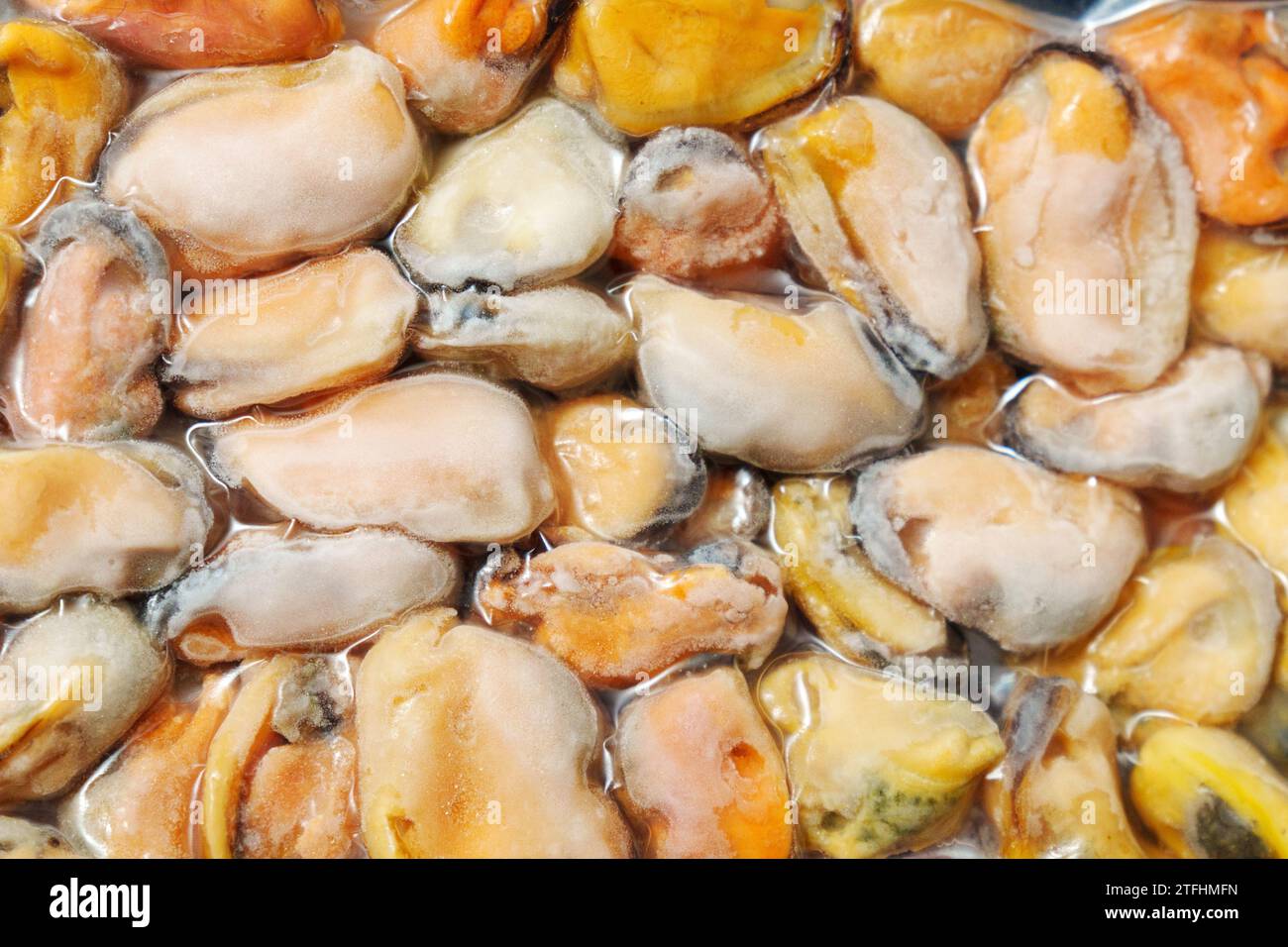 Frozen mussel meat hi-res stock photography and images - Alamy