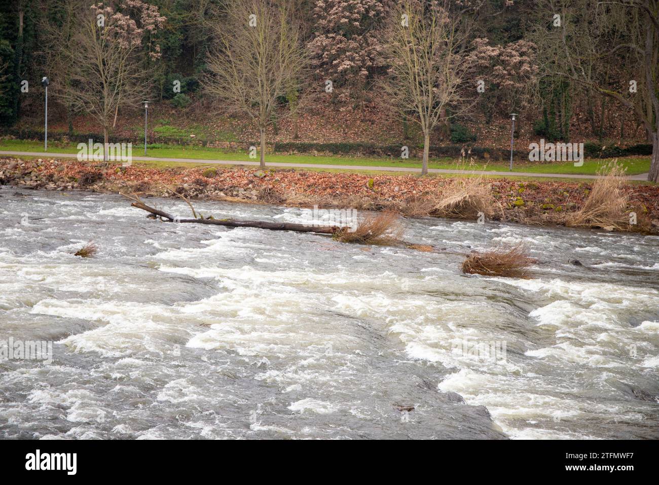 Strong river current with lots of rocks and shrubs in winter Stock ...