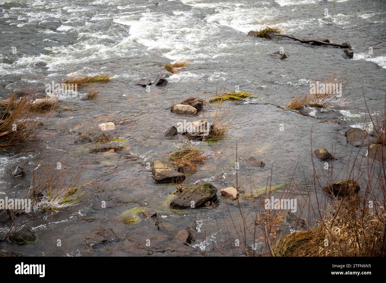 Strong river current with lots of rocks and shrubs in winter Stock ...