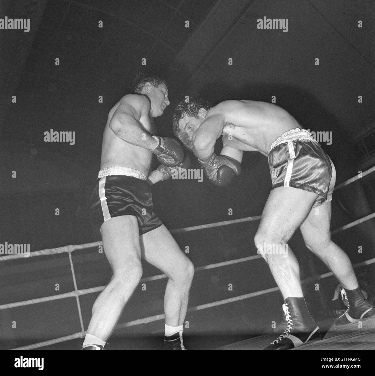 Boxing in the Riverahal in Rotterdam, Wim Snoek against the German Al ...