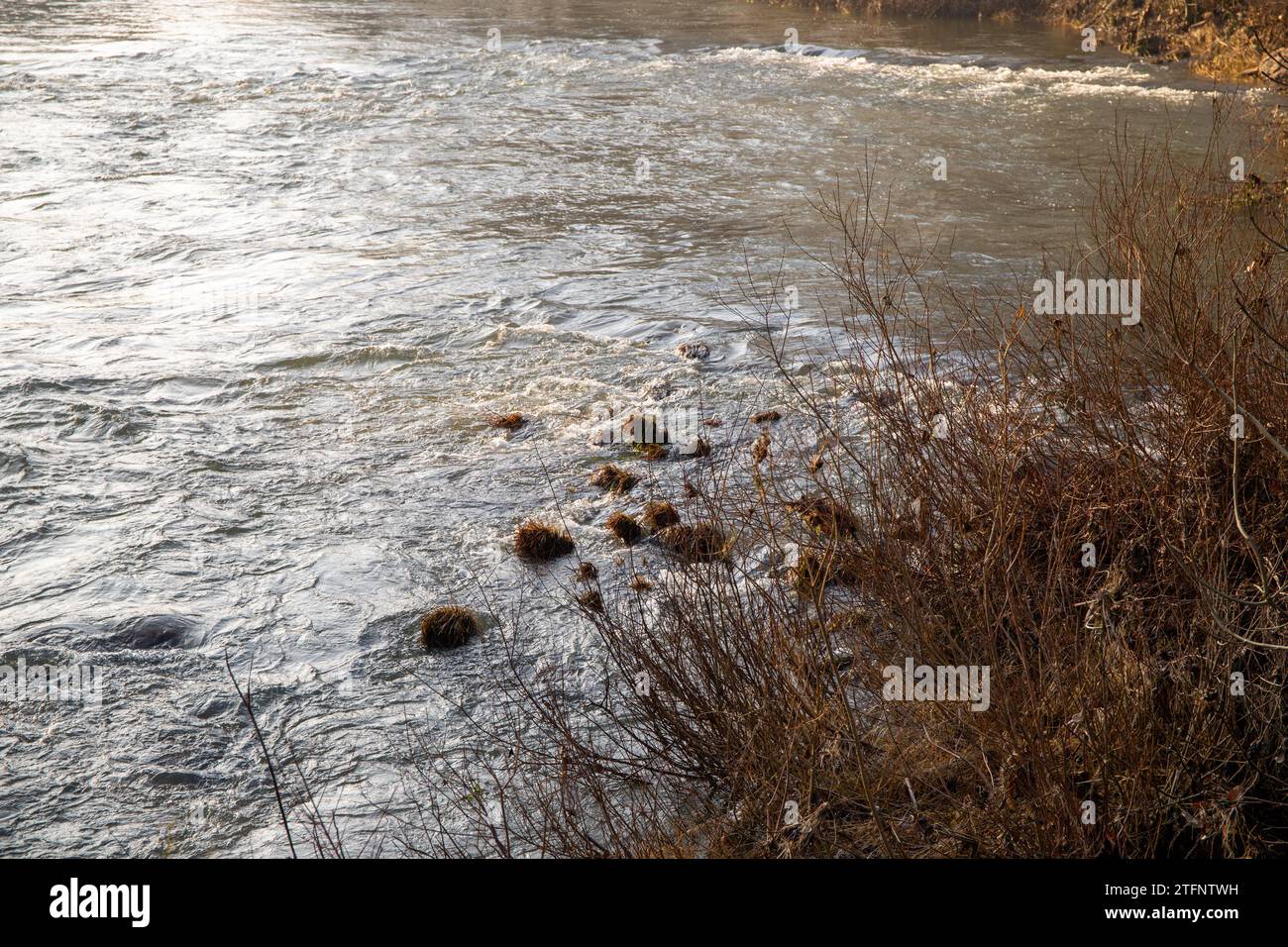Strong river current with lots of rocks and shrubs in winter Stock ...