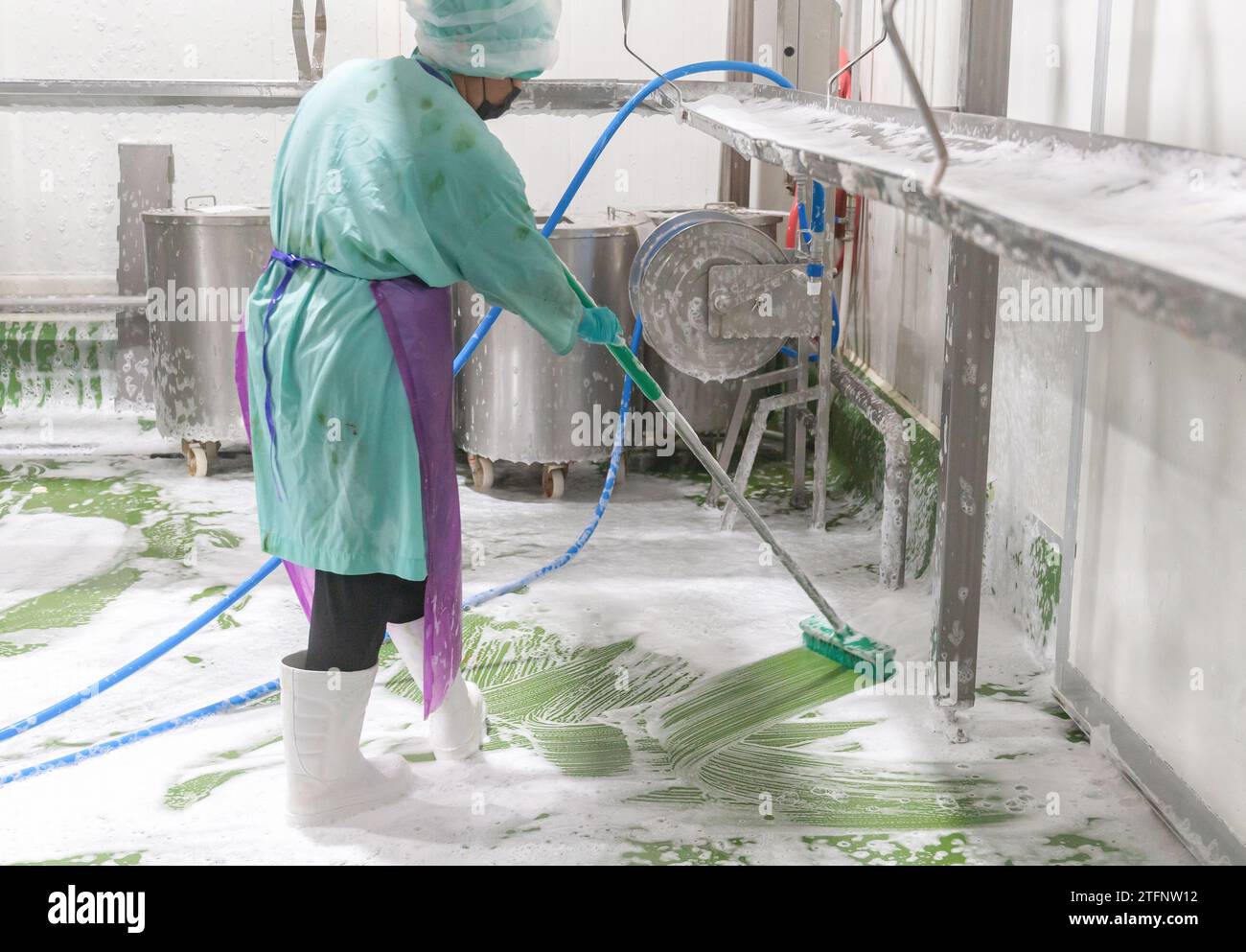 Detail of a scrubbing brush during spring cleaning of a PU floor with ...