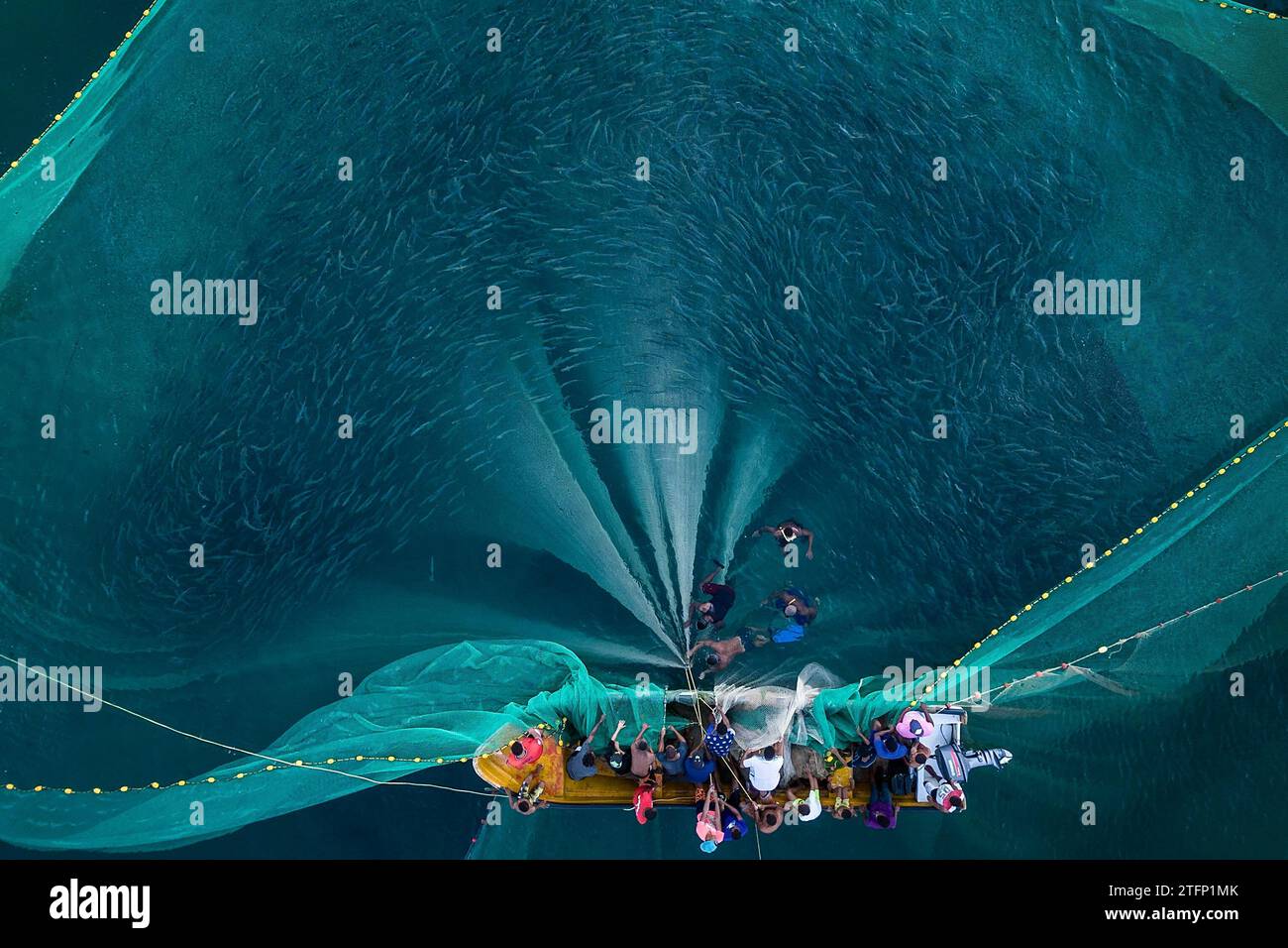 Fisherwomen and men pull in a net of fish off the coast of Chuao ...