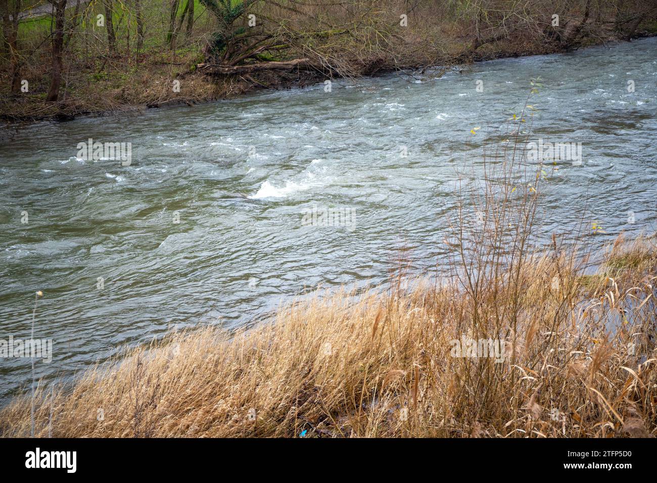 Strong river current with lots of rocks and shrubs in winter Stock ...