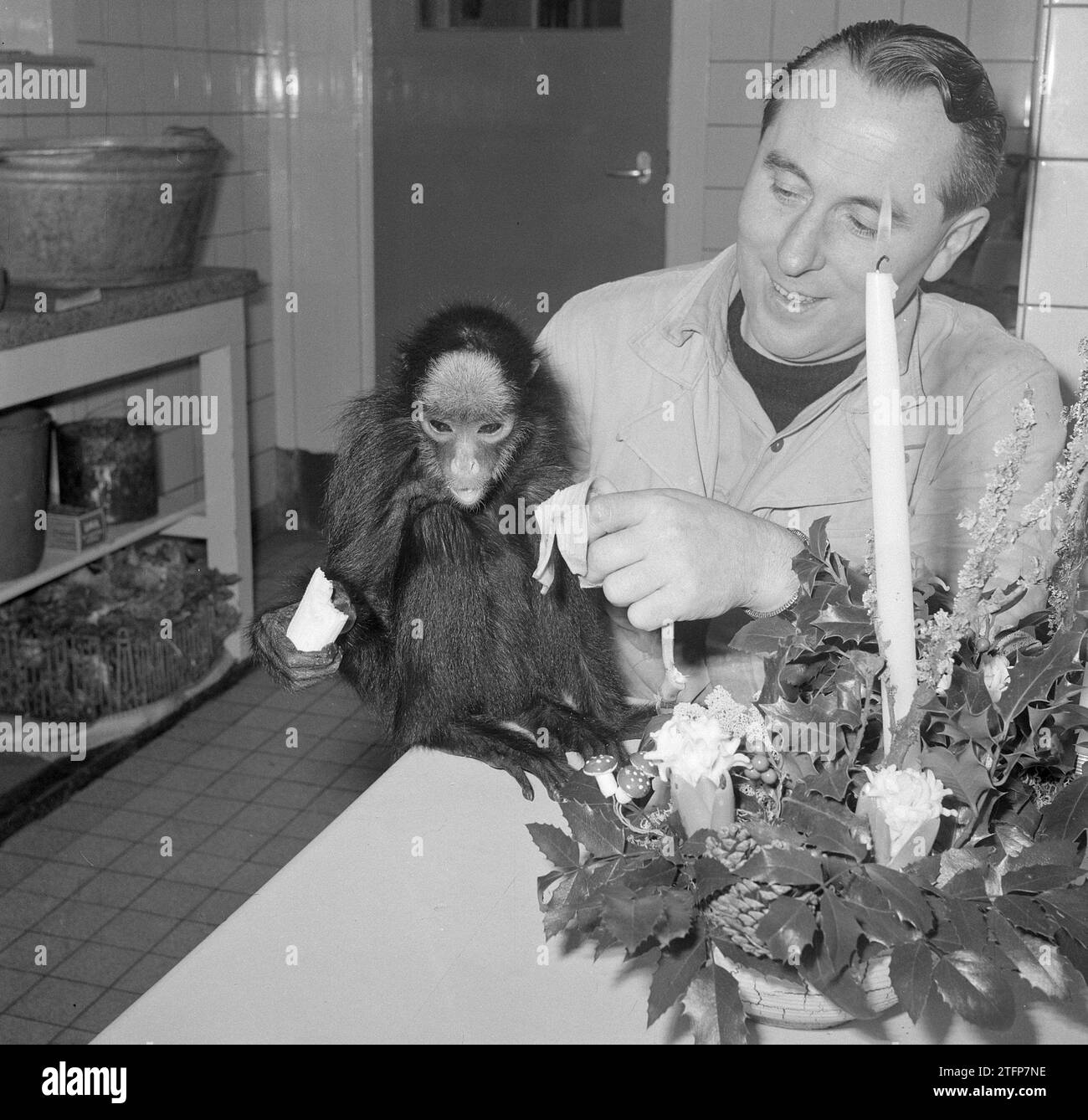 Monkey handler hi-res stock photography and images - Alamy