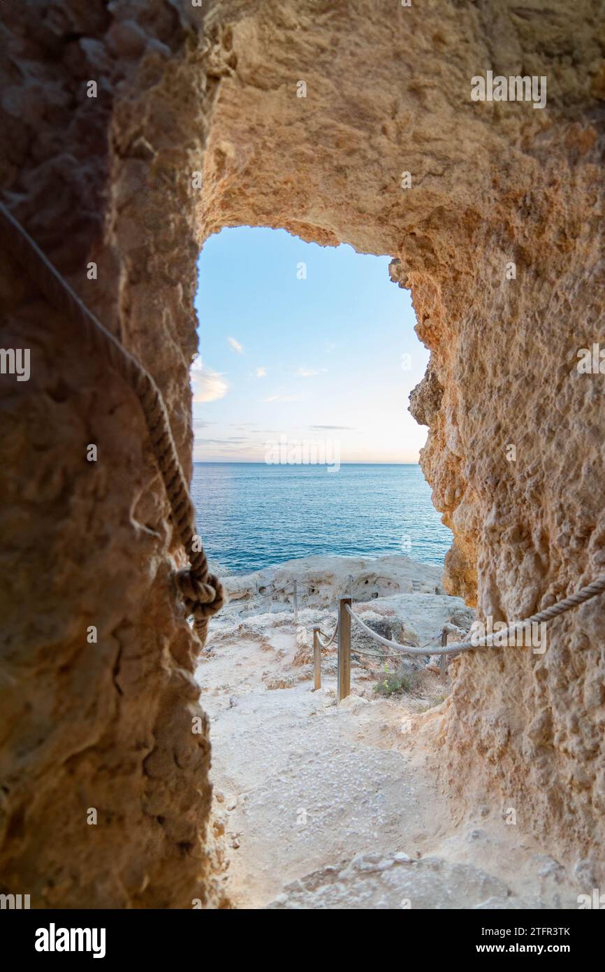 A Glimpse of Serenity: A Low-Angle, Vertical View from Inside a Cave in ...