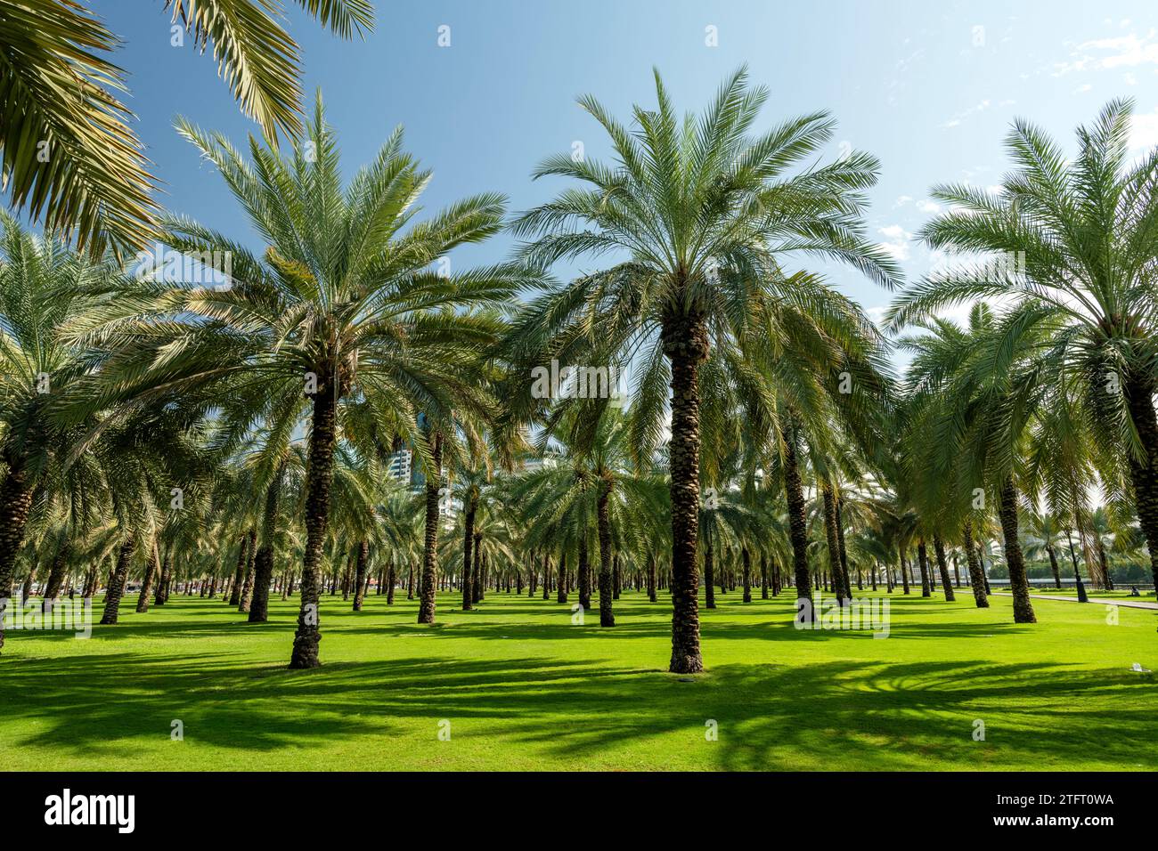 Beautiful Landscape Views of United Arab Emirates Stock Photo - Alamy