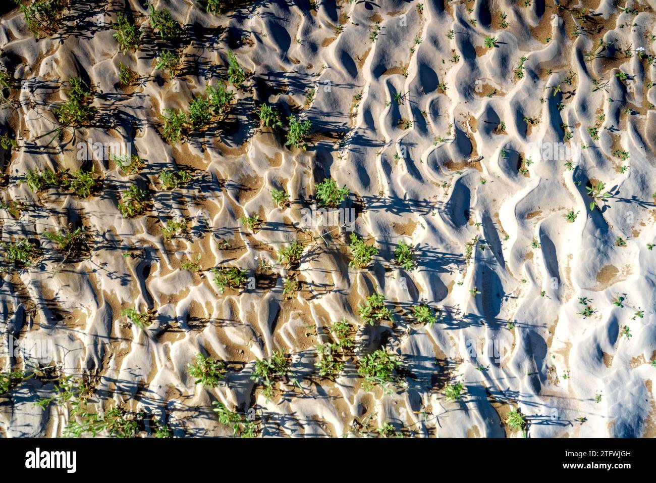 Beautiful Landscape Views of United Arab Emirates Stock Photo - Alamy