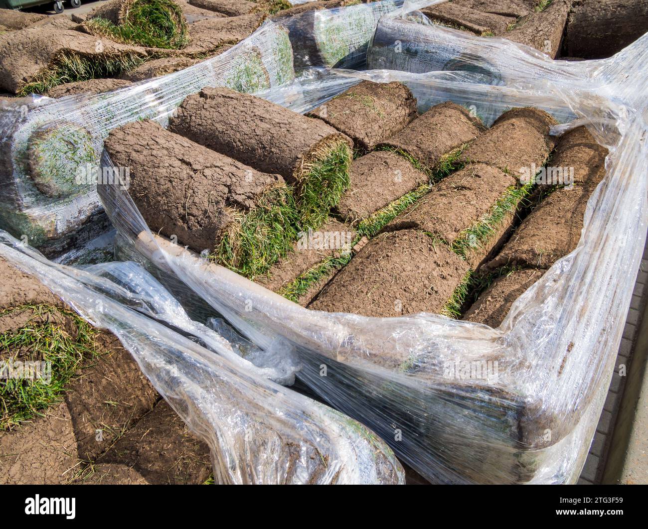 Stacks of packed rolled green lawn Stock Photo - Alamy