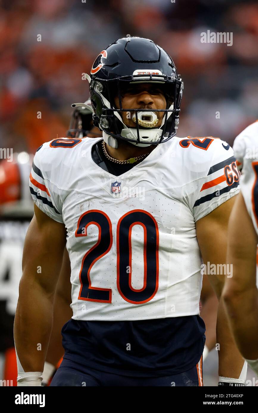 Chicago Bears running back Travis Homer (20) stands on the field during ...