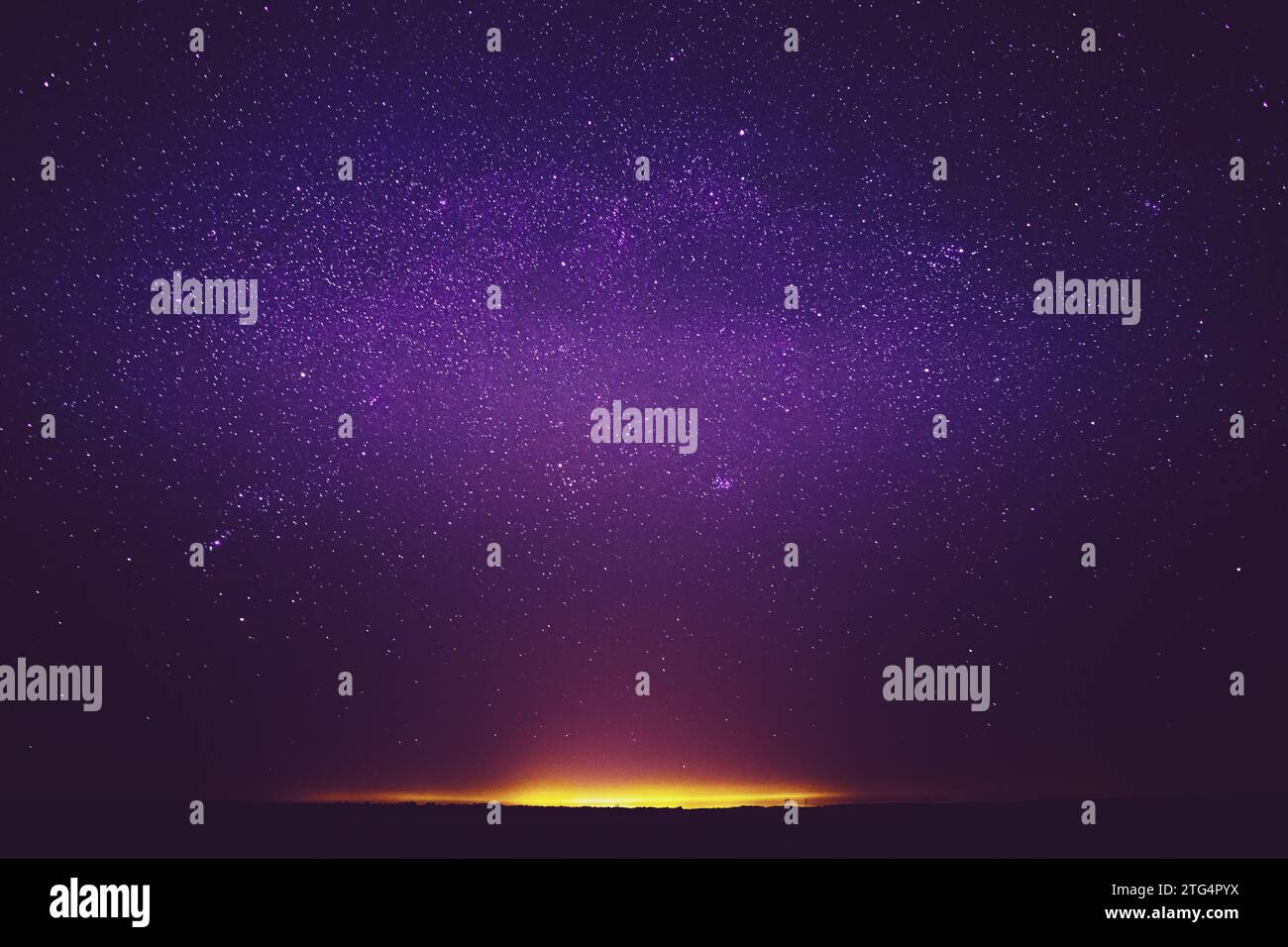 Viola starry night hi-res stock photography and images - Alamy