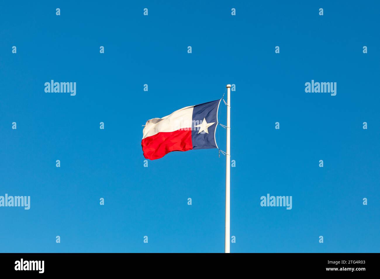 Official flag of texas hi-res stock photography and images - Alamy