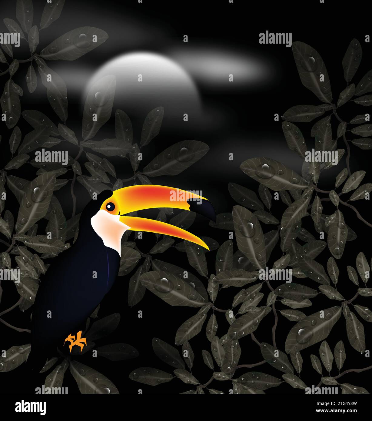 Birds pantanal Stock Vector Images - Alamy