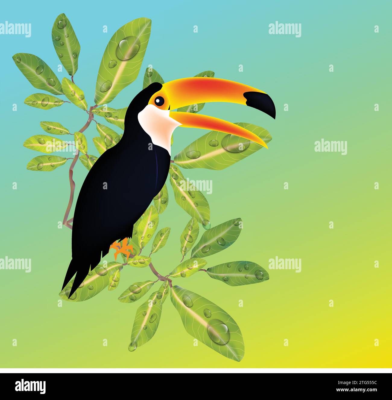 Exotic tropical wildlife Stock Vector Images - Alamy