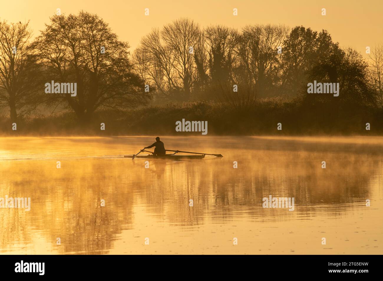 Rower on the River Trent at sunrise, on a frosty morning at Colwick ...