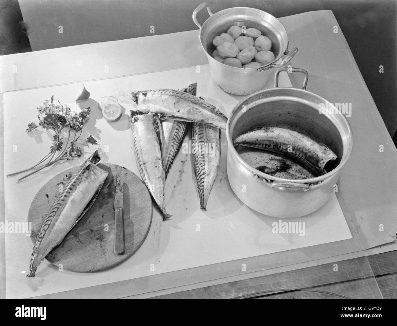 Still life of mackerel in a pan and on a cutting board, a pan with ...