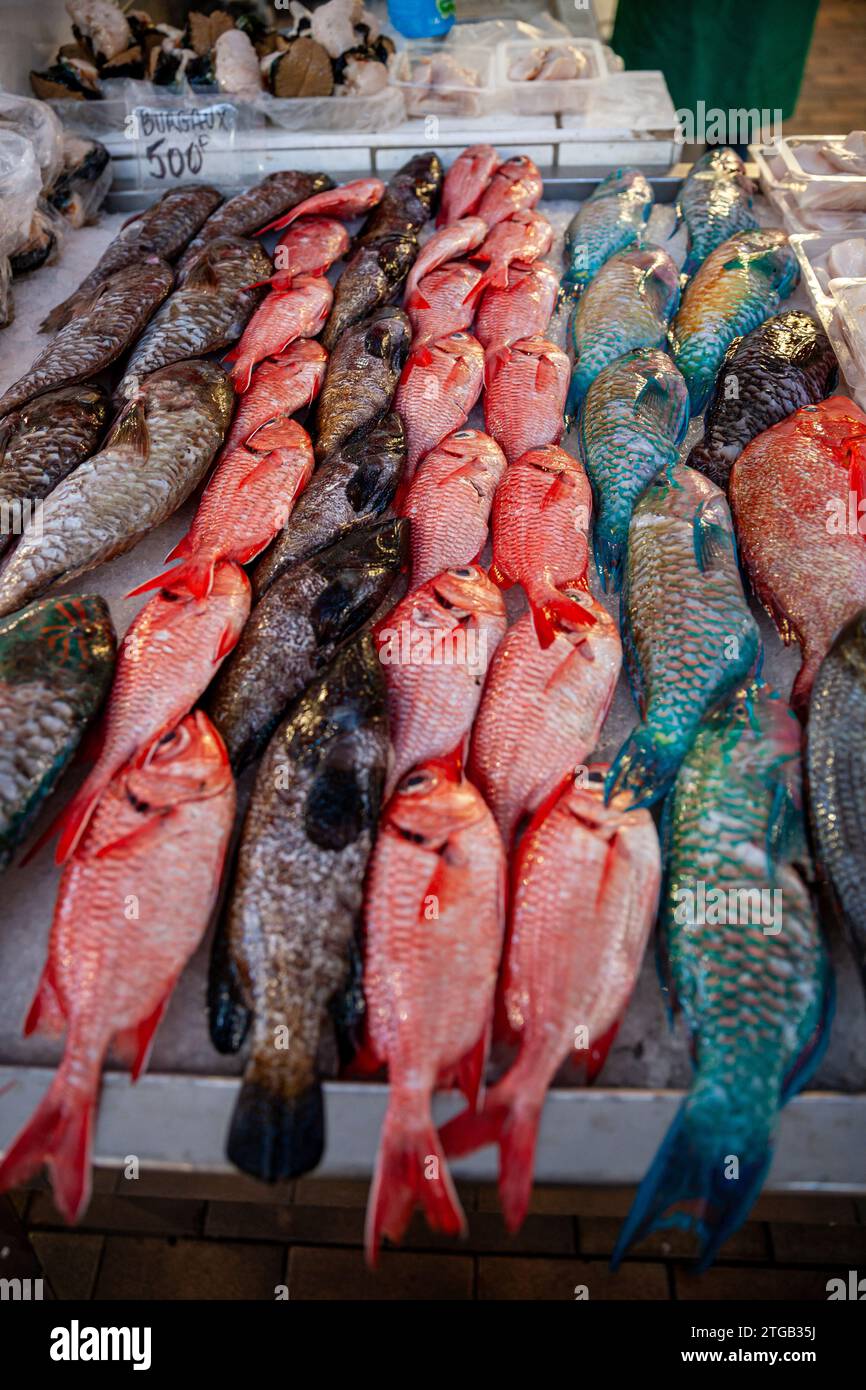 French Polynesia, Tahiti, Papeete, Colourful fishes at local market ...