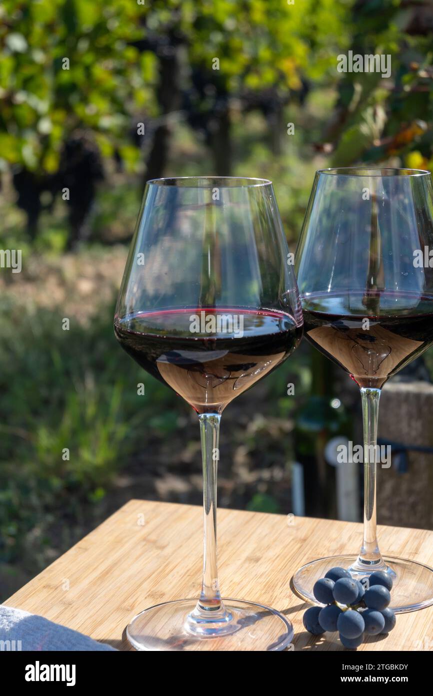 Tasting of red Bordeaux wine, Merlot or Cabernet Sauvignon red wine ...