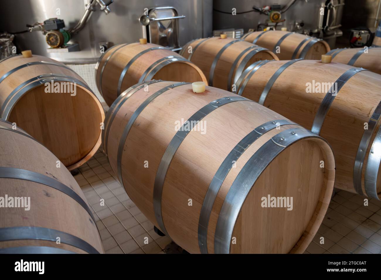 French oak wooden barrels for aging red wine in cellar, Saint-Emilion ...