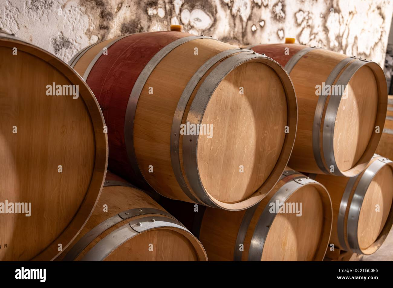 French oak wooden barrels for aging red wine in underground cellar ...