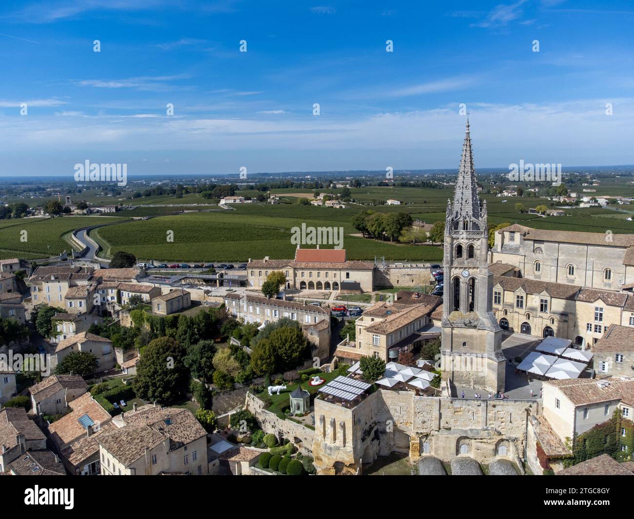 Aerial views of green vineyards, old houses and narrow hilly streets of ...