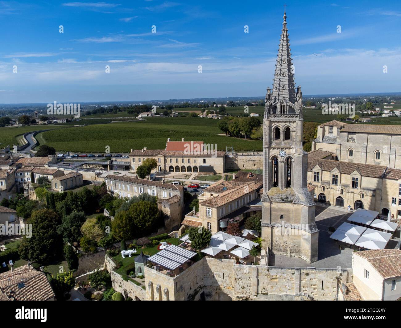 Aerial views of green vineyards, old houses and narrow hilly streets of ...