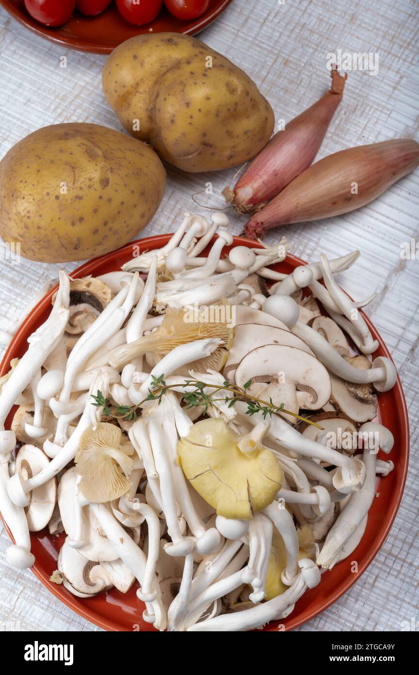 White shimeji edible mushrooms native to East Asia, buna-shimeji is ...