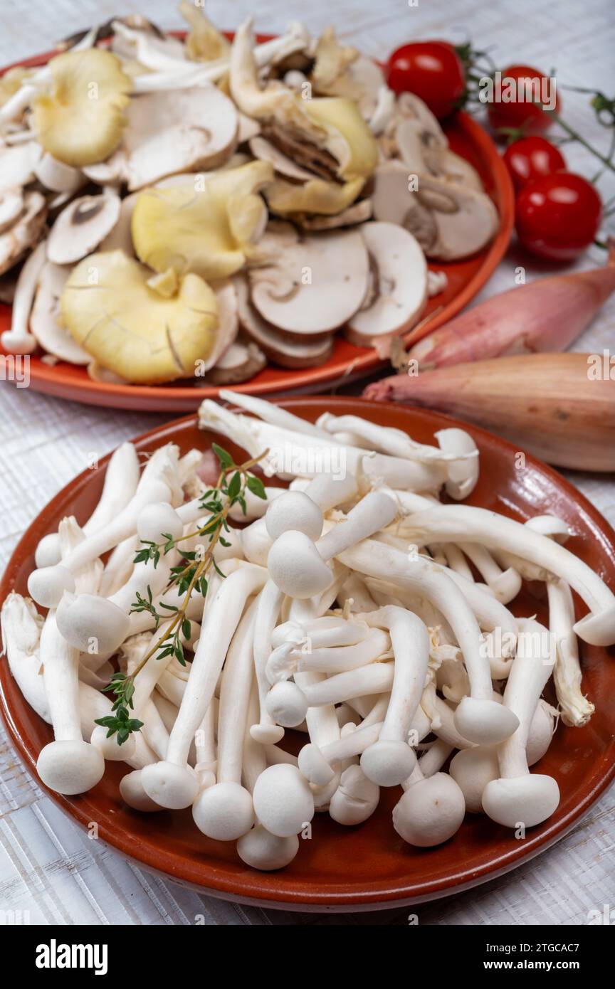 White shimeji edible mushrooms native to East Asia, buna-shimeji is ...