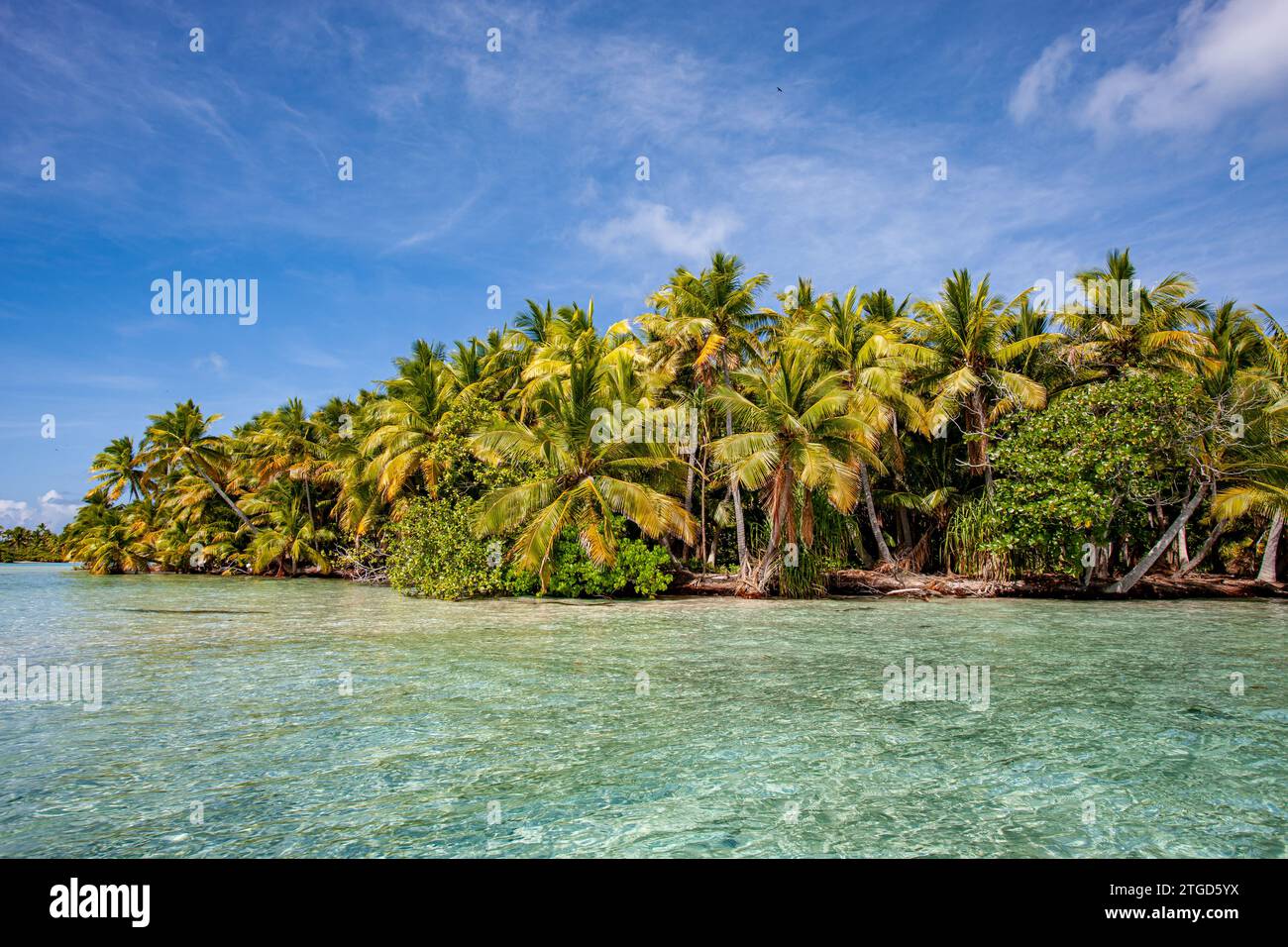 French Polynesia, Tuamotu, Fakarava, View of the atoll Stock Photo - Alamy