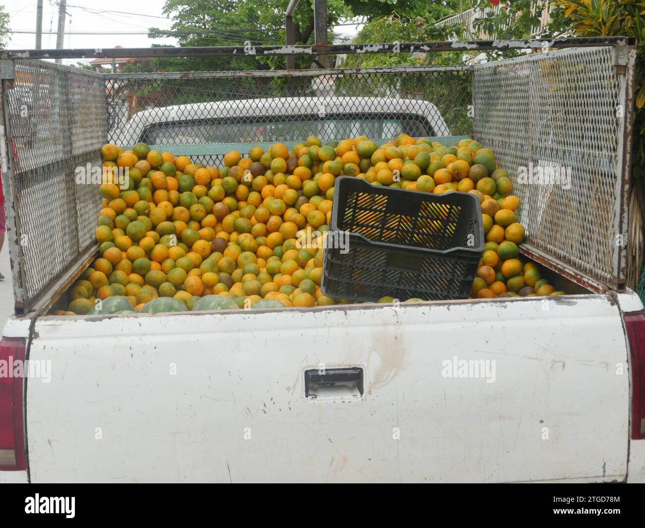 Loading oranges hi-res stock photography and images - Alamy