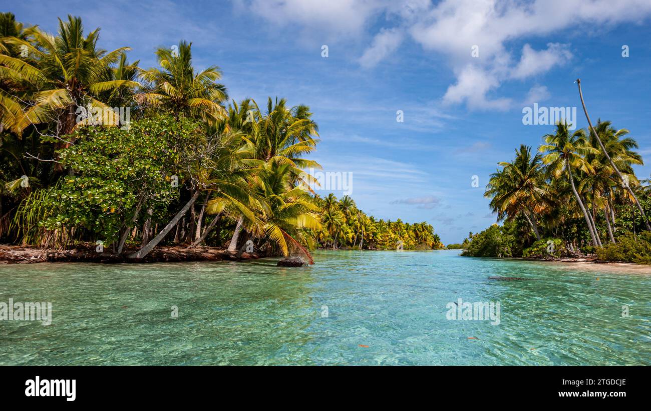 French Polynesia, Tuamotu, Fakarava, View of the atoll Stock Photo - Alamy