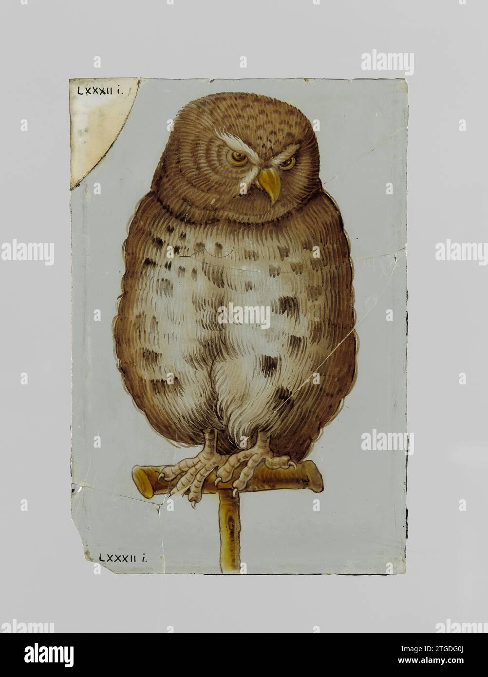 Double with an owl, anonymous, c. 1650 - c. 1675 A window with email ...