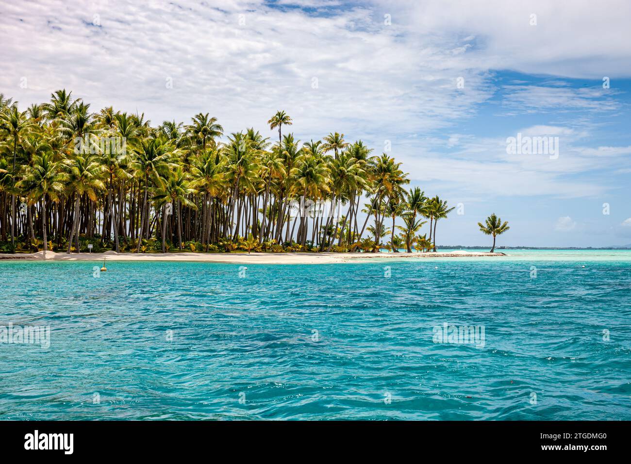 French Polynesia, Tuamotu, Fakarava, View of the atoll Stock Photo - Alamy