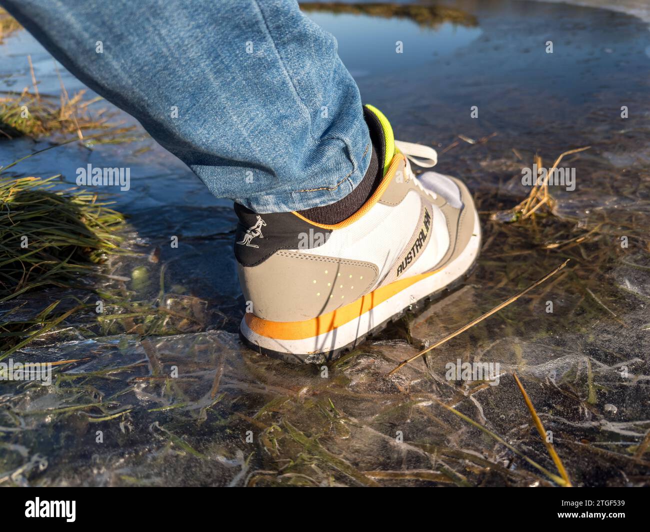 Bavaria, Germany - December 18, 2023: Man steps onto a frozen water ...