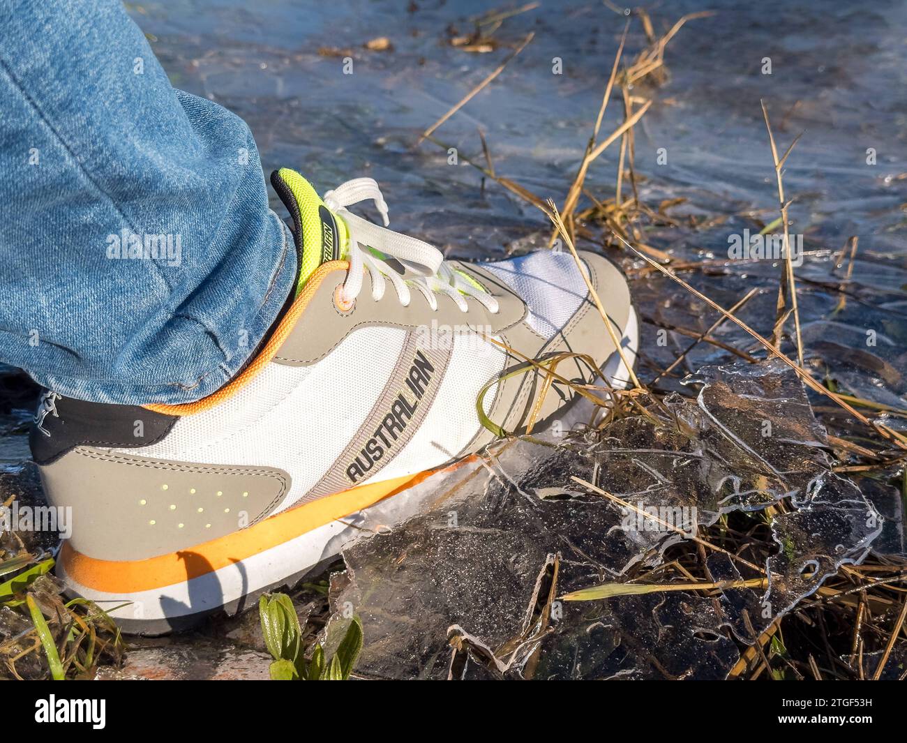 Bavaria, Germany - December 18, 2023: Man steps onto a frozen water ...