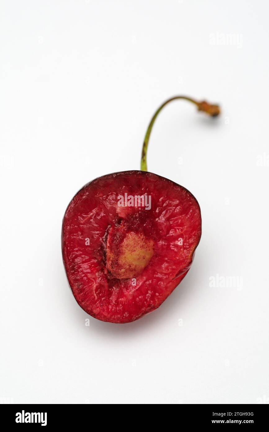 Cross section of a stem hi-res stock photography and images - Alamy