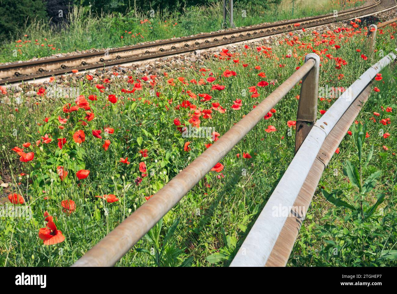 Guardrail hi-res stock photography and images - Alamy