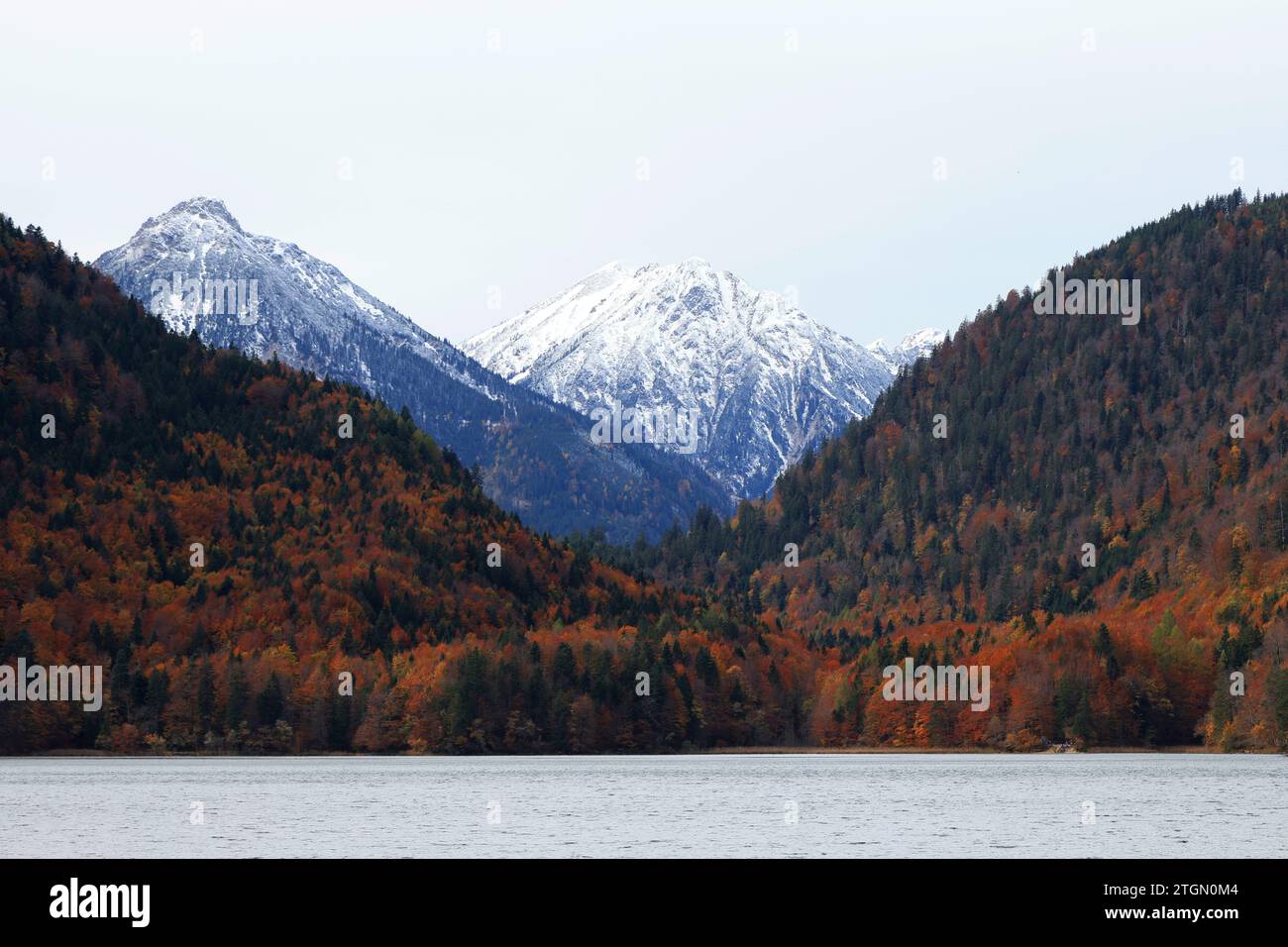 Autumn at alatsee hi-res stock photography and images - Alamy