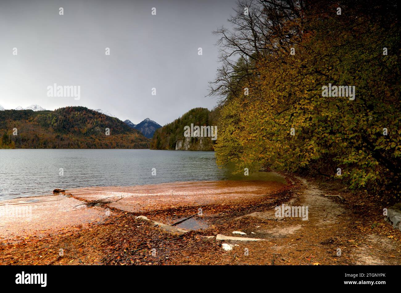 Autumn at the alatsee hi-res stock photography and images - Alamy
