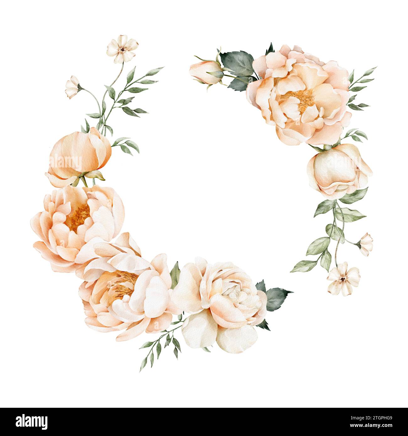 Watercolor floral wreath with gentle peach color peonies and white ...
