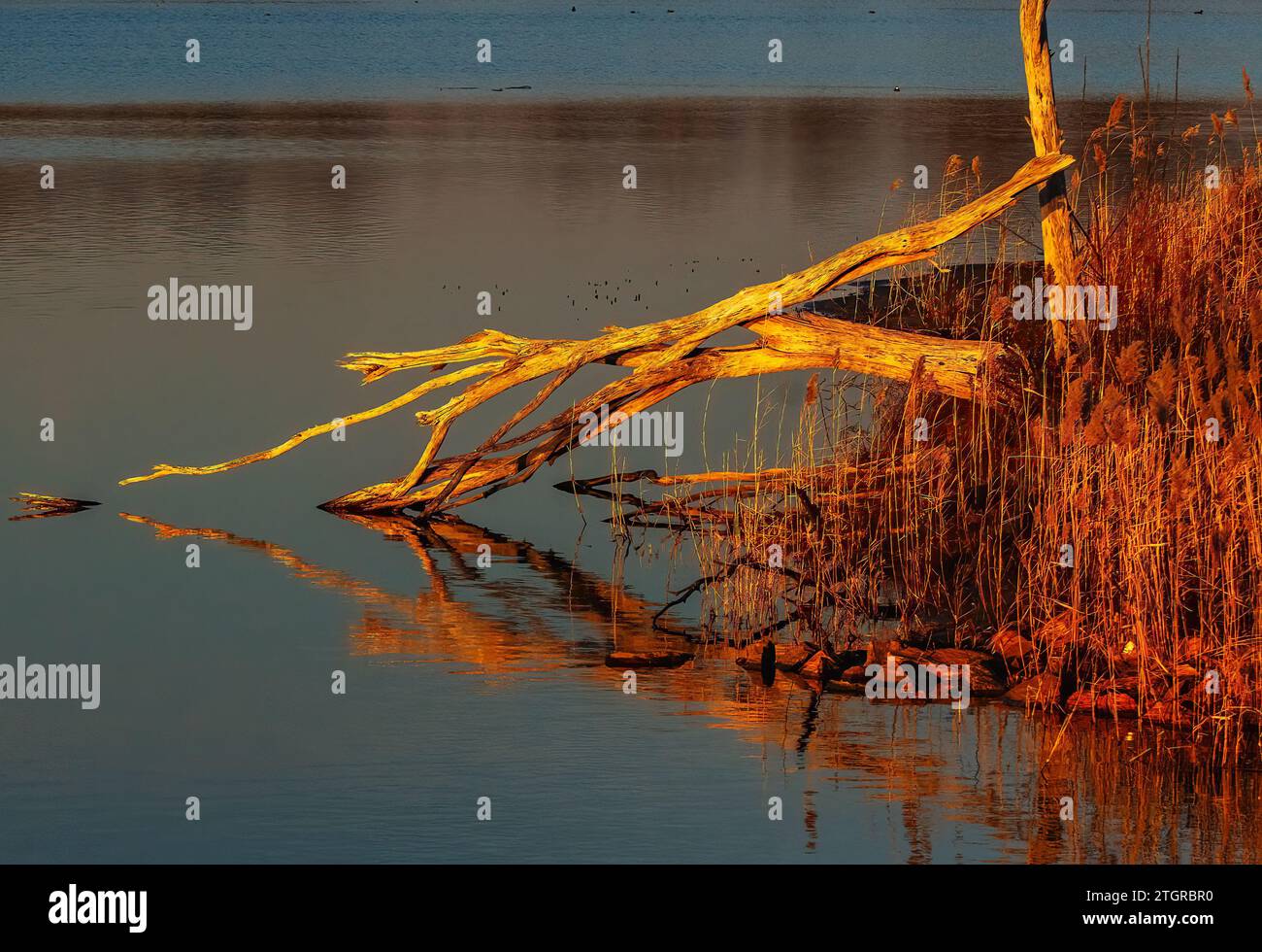 Gateway nta hi-res stock photography and images - Alamy