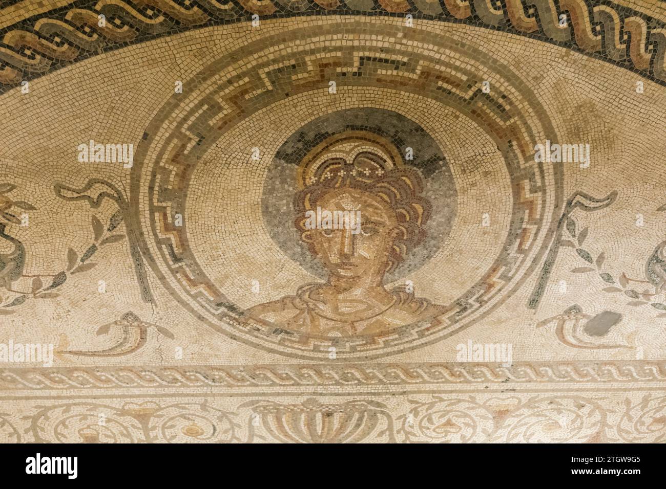 England, West Sussex, Bignor Roman Villa, Roman Mosaic, Mosaic ...