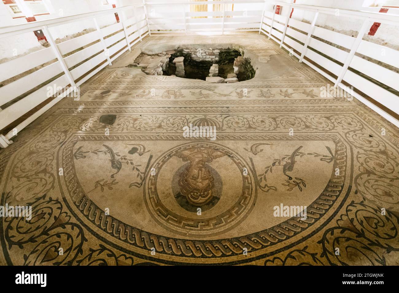 England, West Sussex, Bignor Roman Villa, Roman Mosaic, Mosaic ...