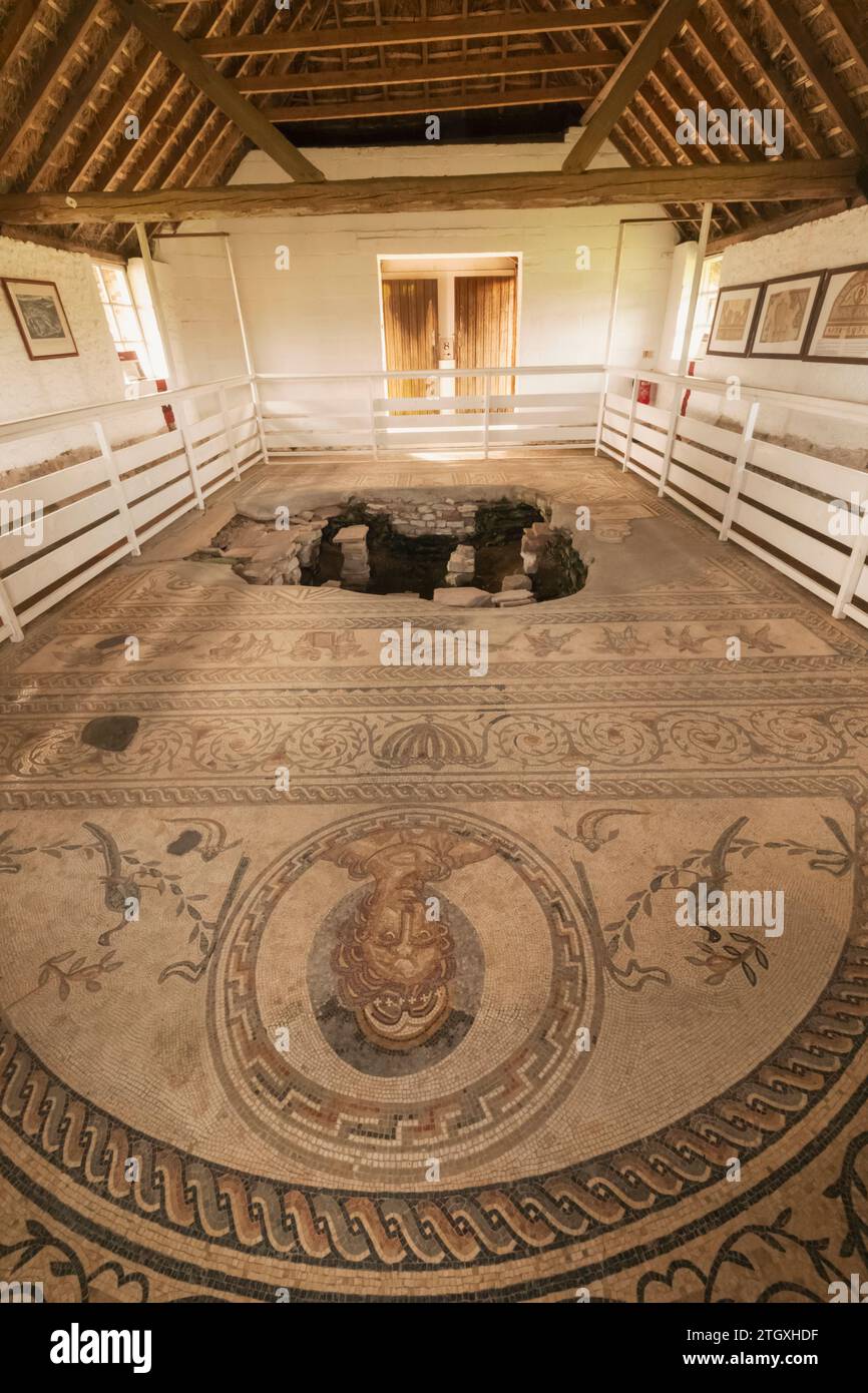 England, West Sussex, Bignor Roman Villa, Roman Mosaic, Mosaic ...