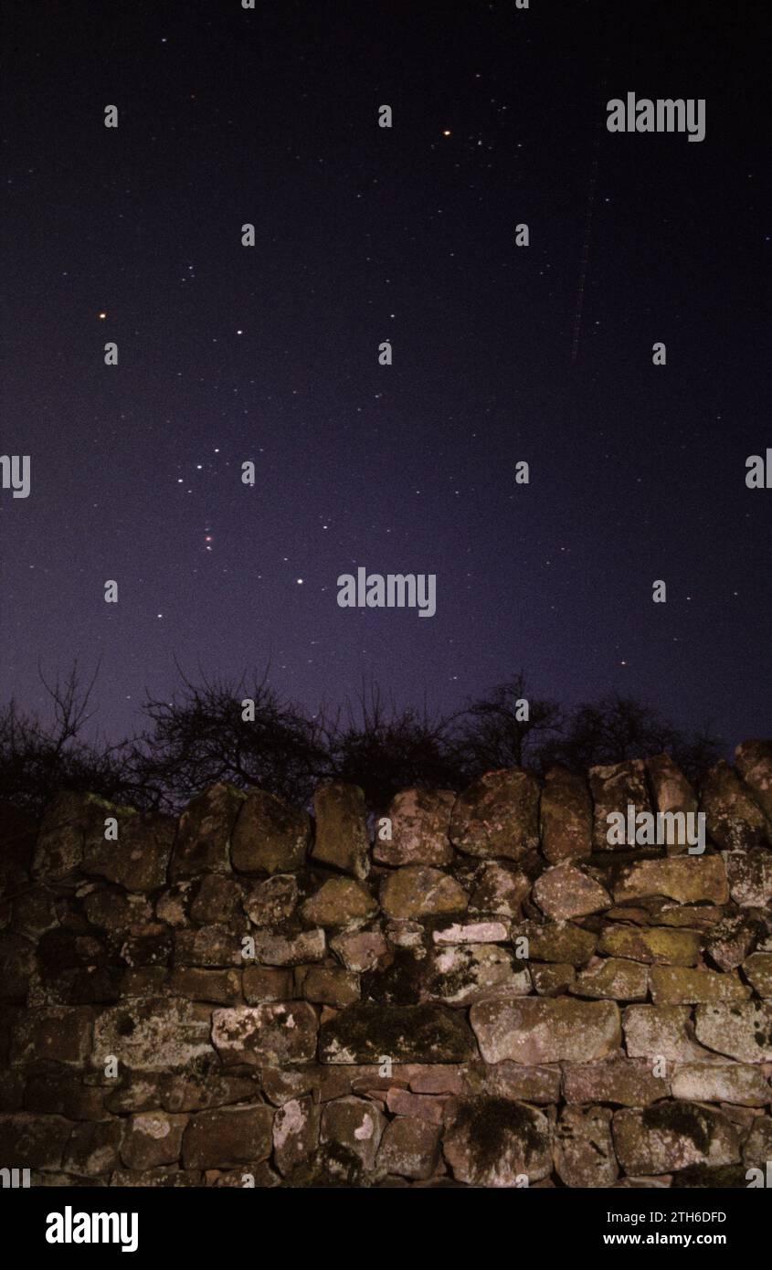 Orion taurus hi-res stock photography and images - Alamy