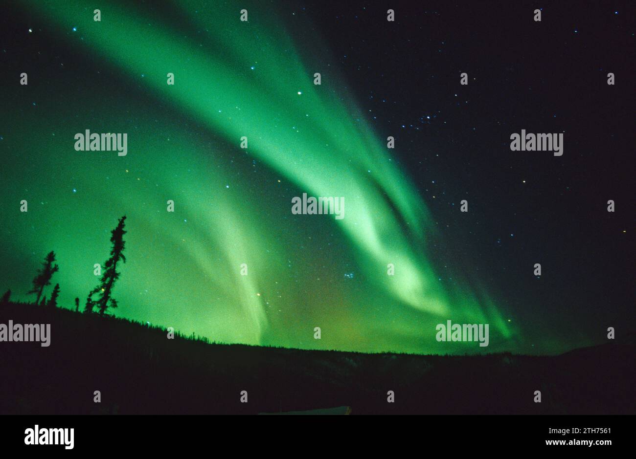 Aurora Borealis including Taurus & Auriga from Chena Hot Springs near ...