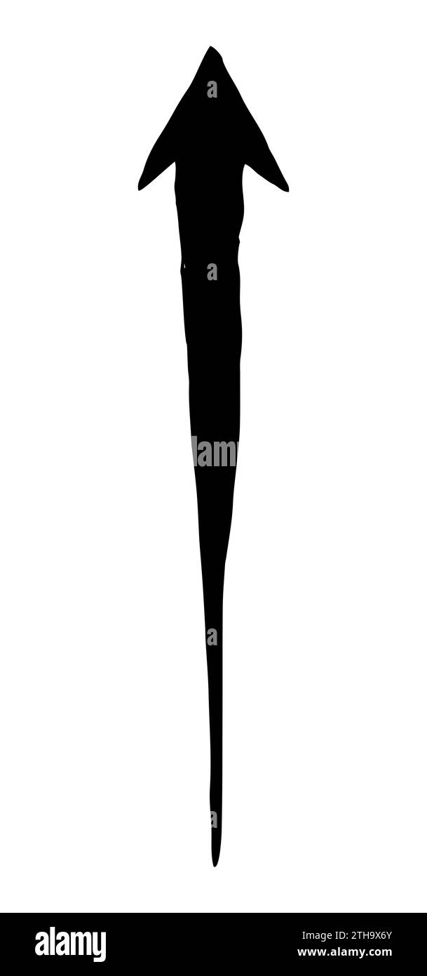 Hand painted arrow drawn with ink brush isolated on white background ...