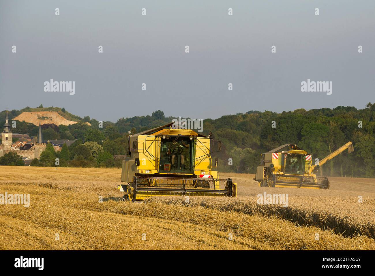 The farmers take advantage of a few days without rain to harvest their ...