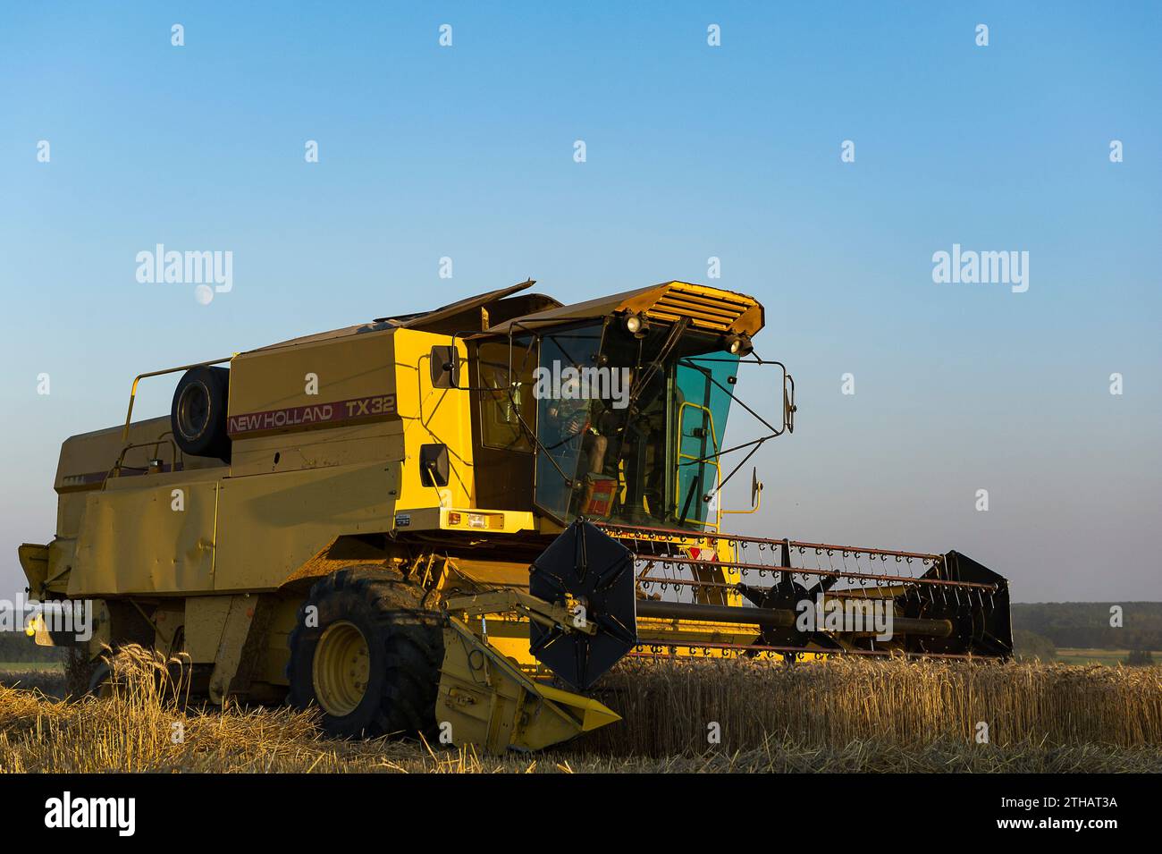 The farmers take advantage of a few days without rain to harvest their ...