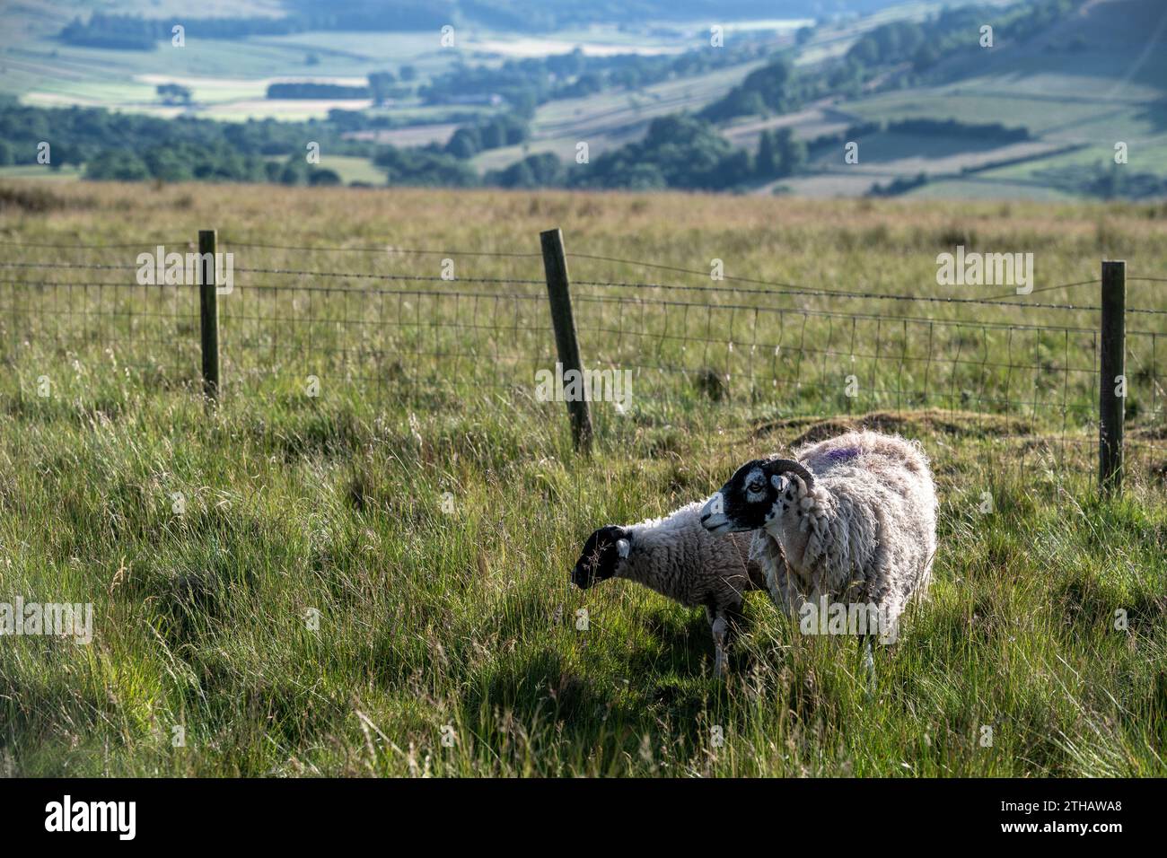 Yorkshire uk inglaterra hi-res stock photography and images - Alamy